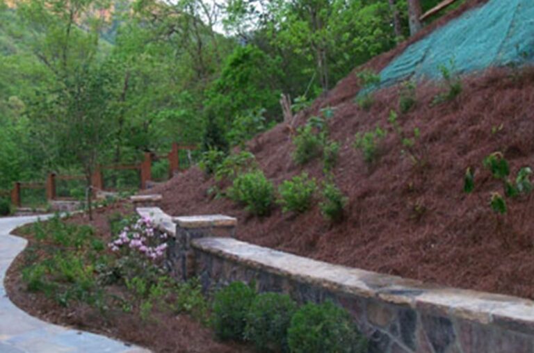 Hillside Erosion Control - Sequoia Builders